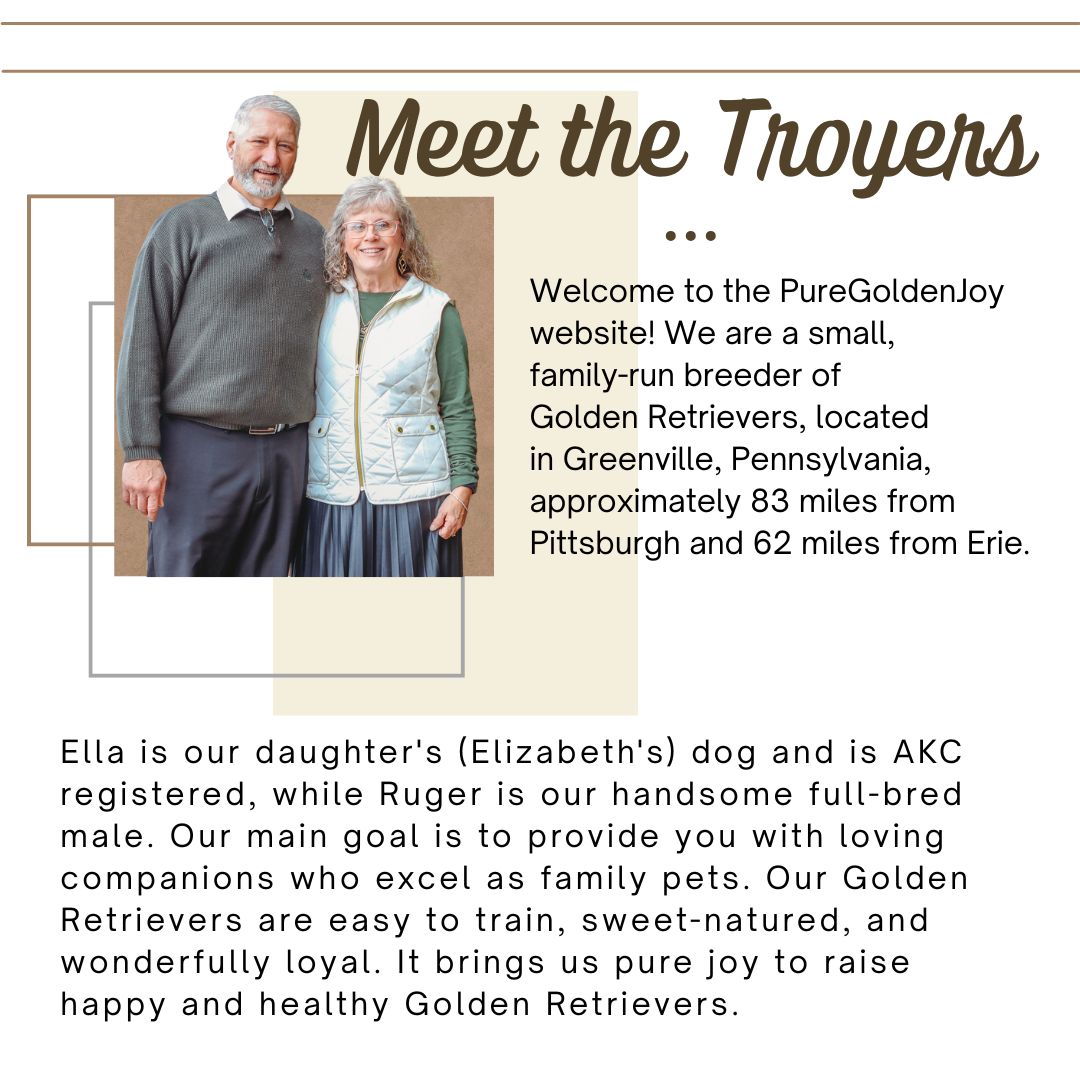 About Us – Pure Golden Joy